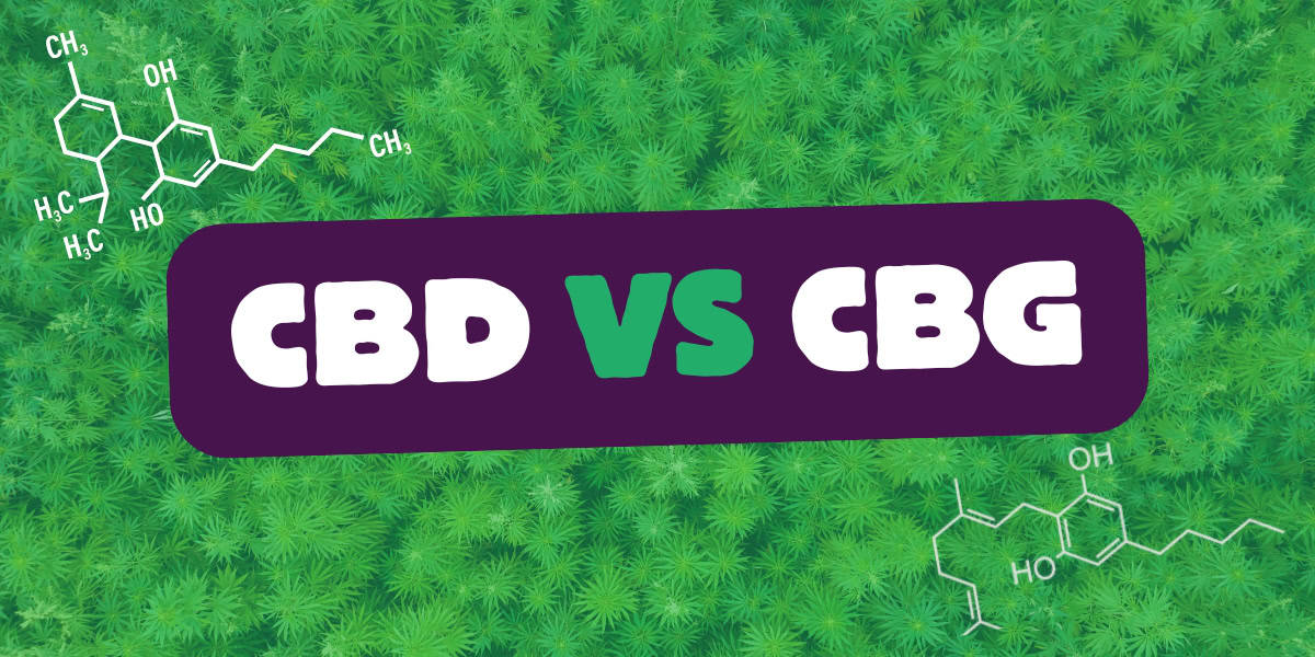 CBD vs CBG: Elucidating the benefits of the stem cell cannabinoid